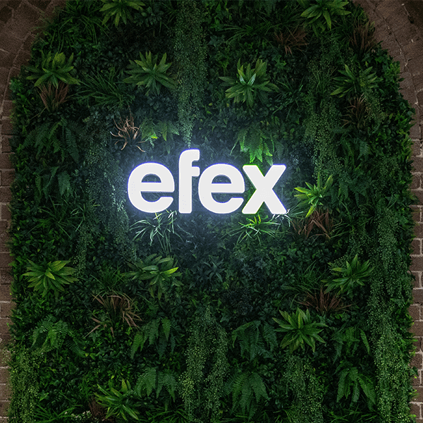 Advent Partners Acquires Majority Stake in efex | Advent Partners